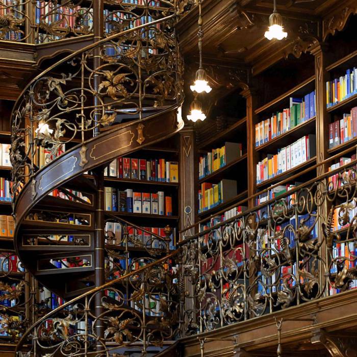 Visit of the Law Library: Juristische Bibliothek