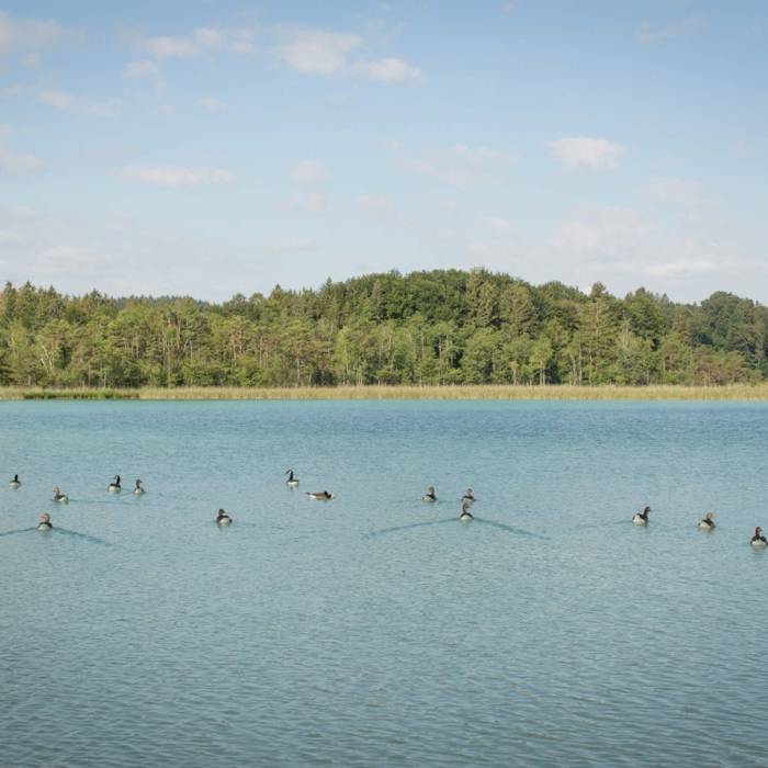 Guide: lakes with bathing opportunities near Munich | simply Munich