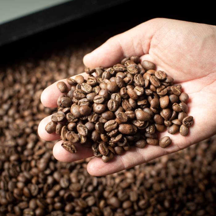 A visit to the Fausto coffee roasting house | simply Munich