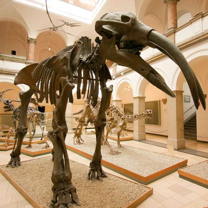Small and unique museums in Munich | simply Munich