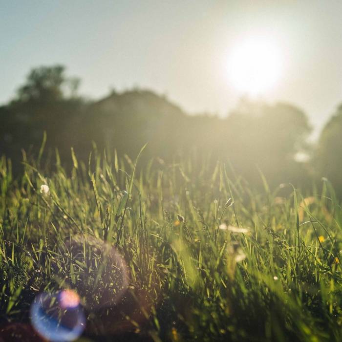 Spring in Munich | simply Munich