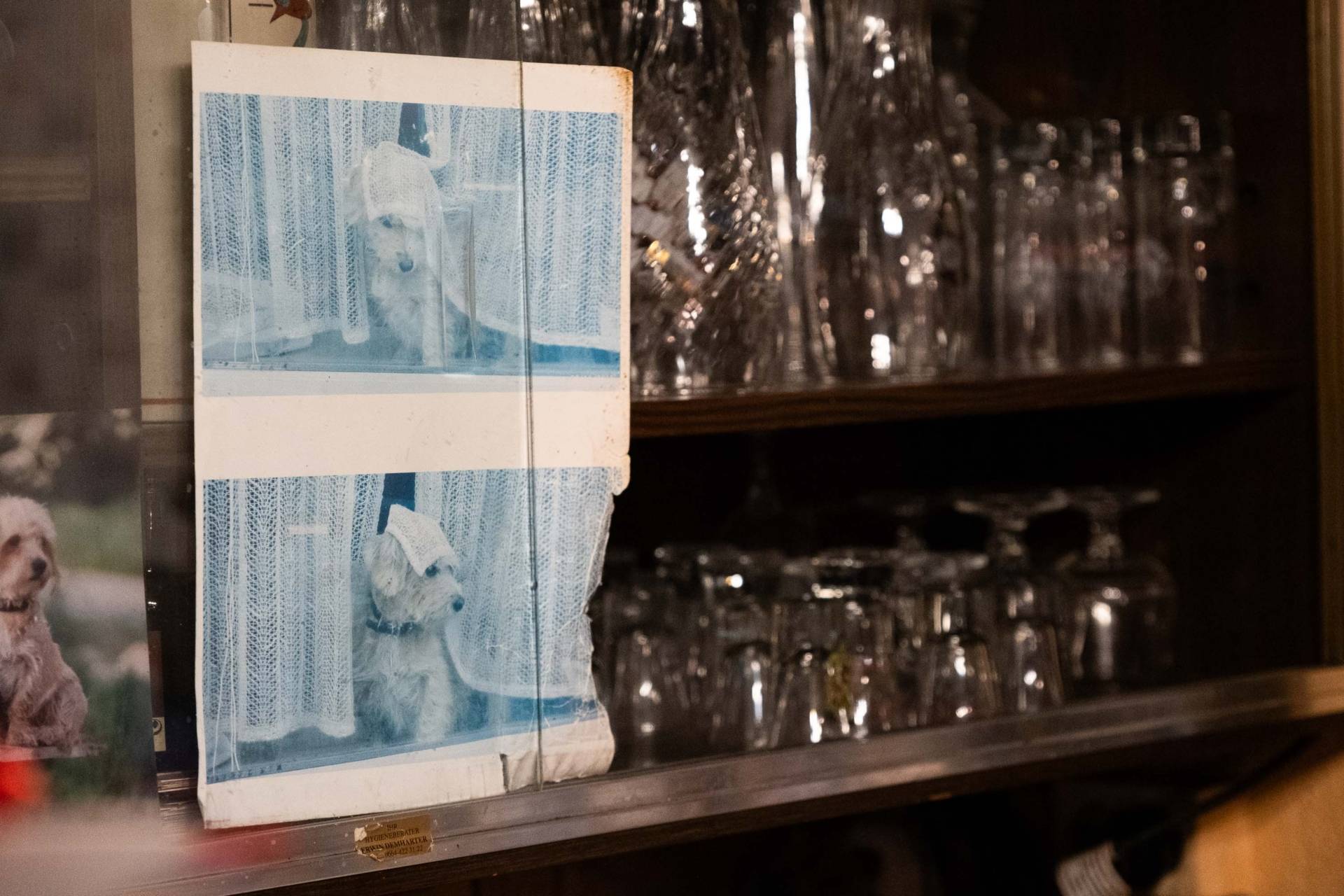 Munich Boazns: Cult and culture | simply Munich