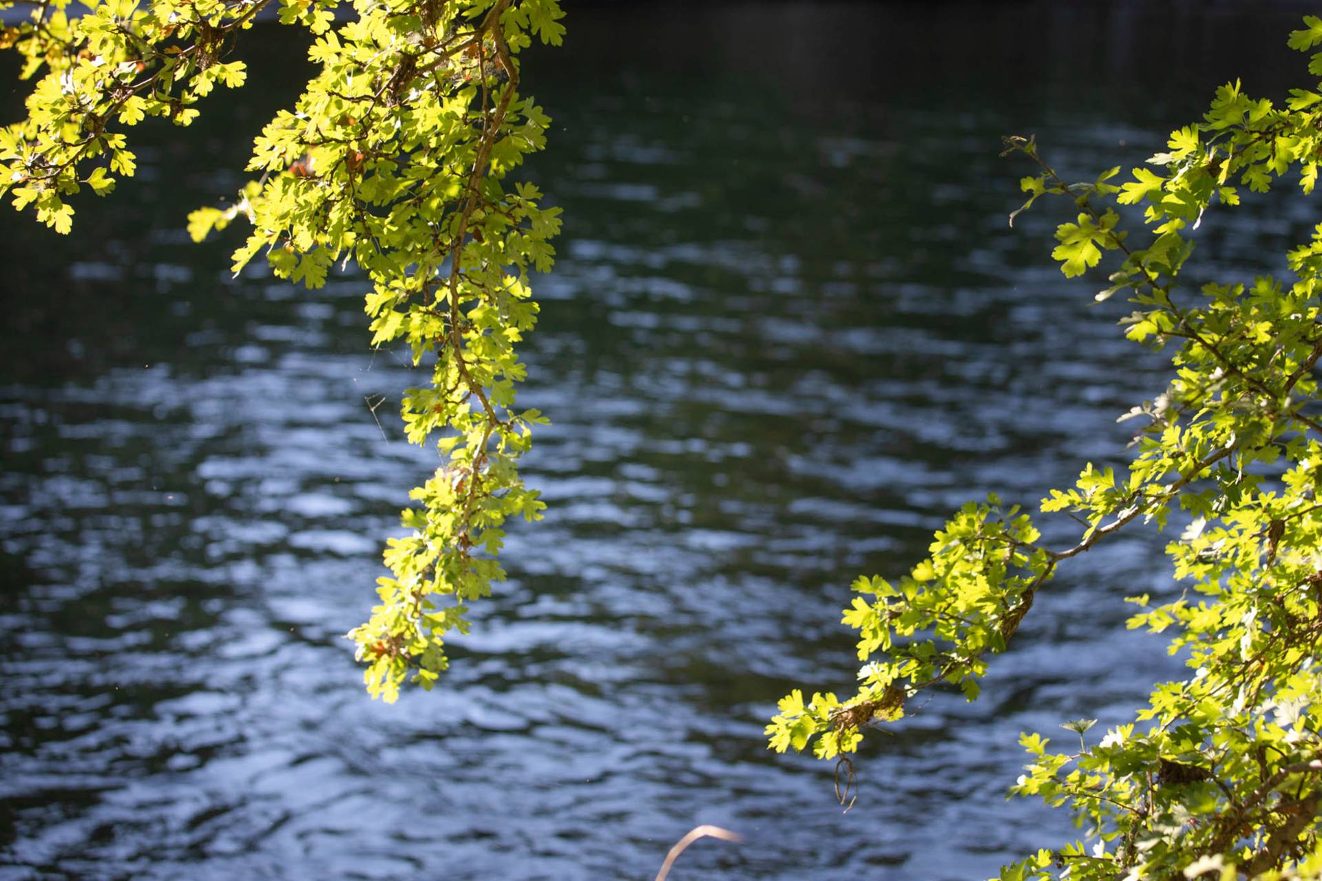 Isar: Secluded swimming spots | simply Munich
