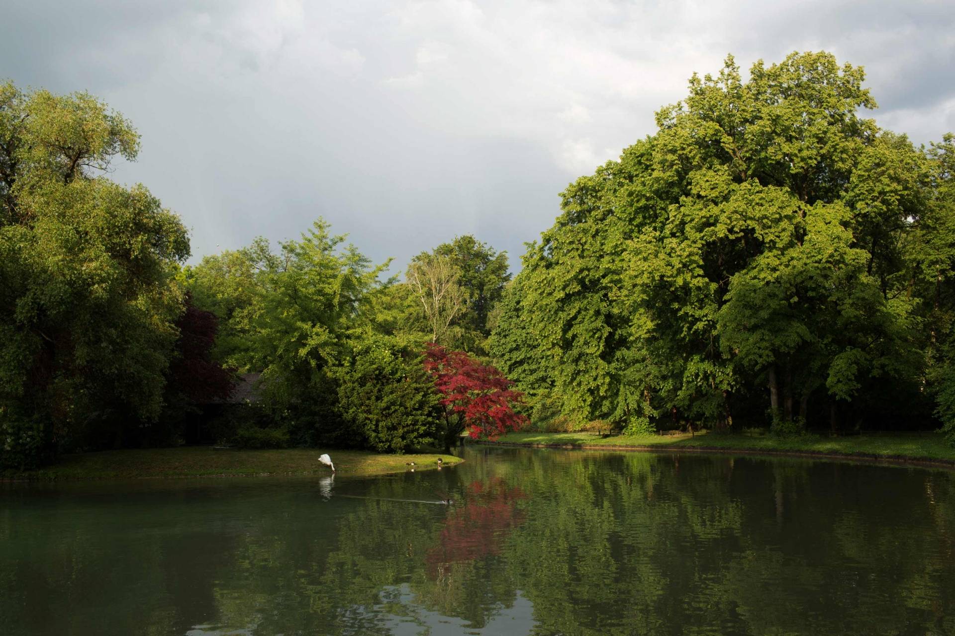 Munich Guides: activities for nature lovers | simply Munich