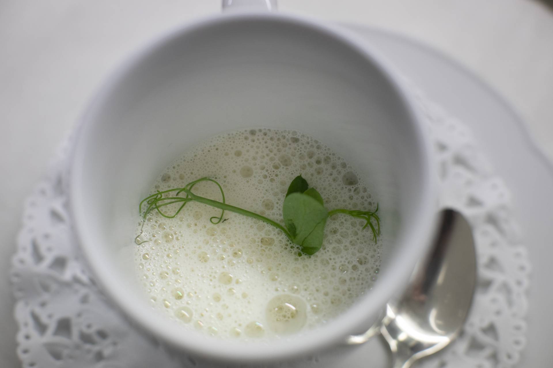 With Mario Gamba from Acquarello through Bogenhausen | simply Munich