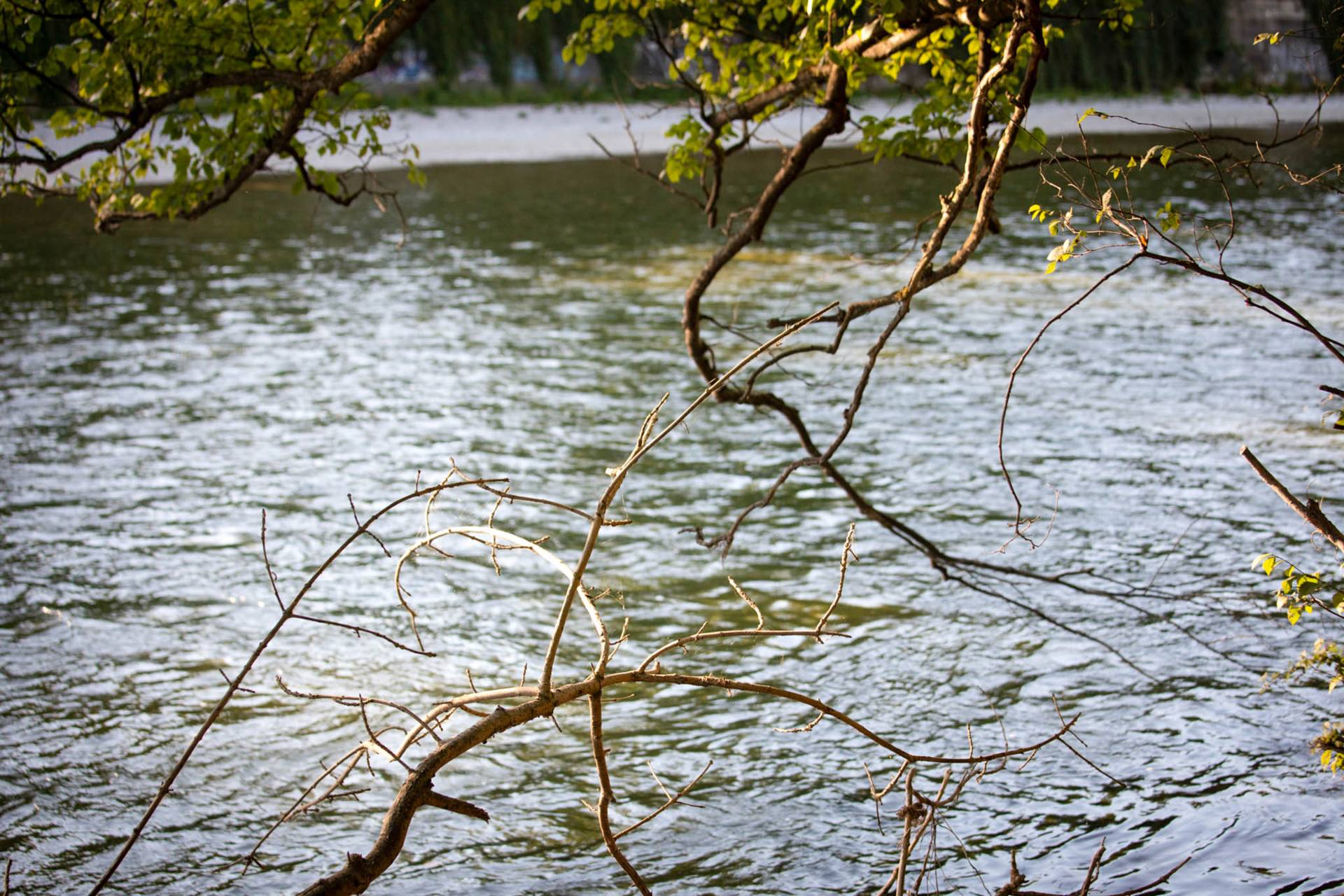 Isar: Secluded swimming spots | simply Munich