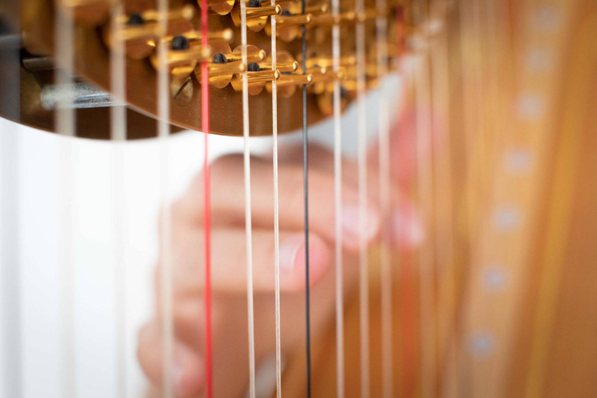 Teresa Zimmermann, harp | simply Munich