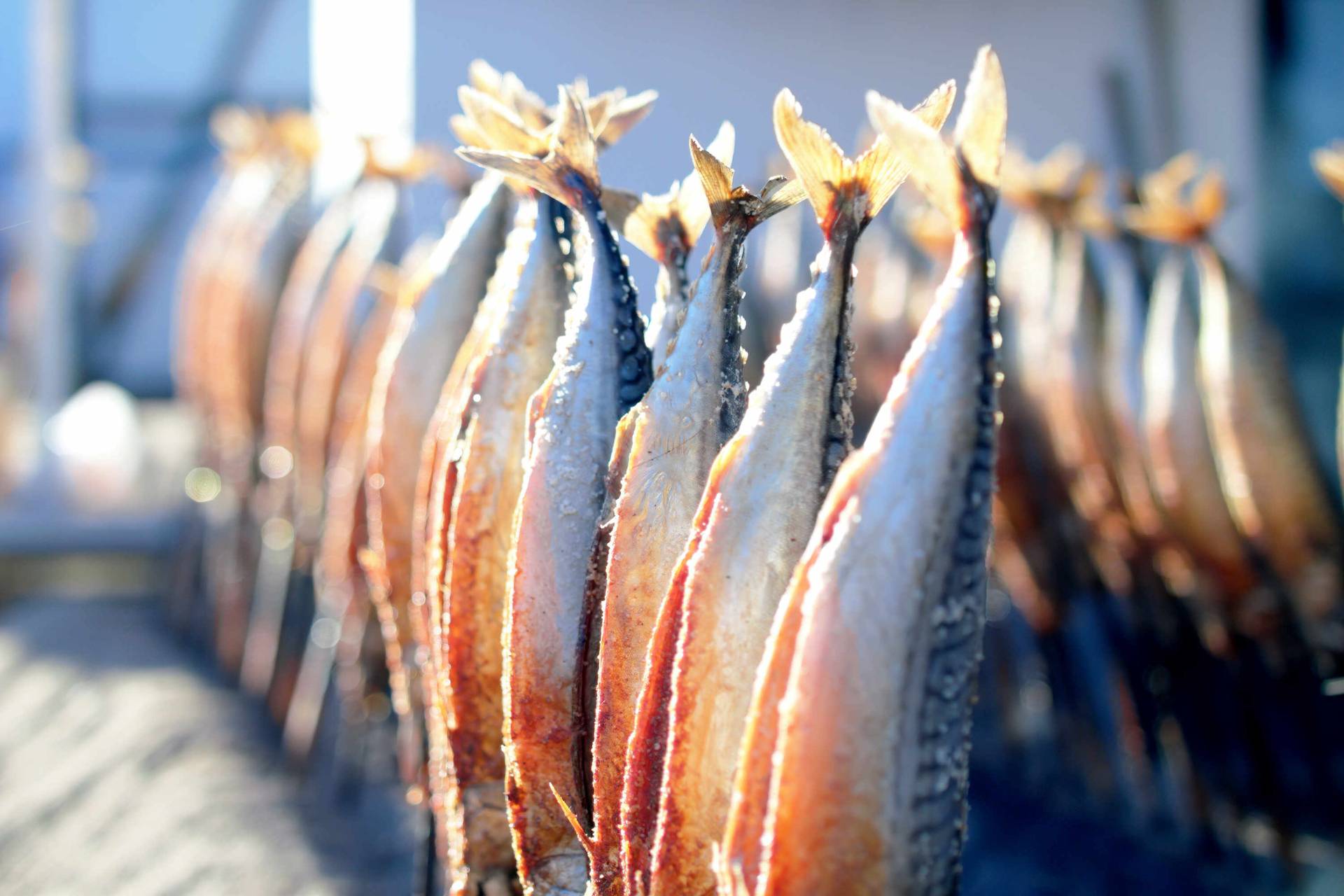 Oktoberfest: Everything you need to know about the Wiesn