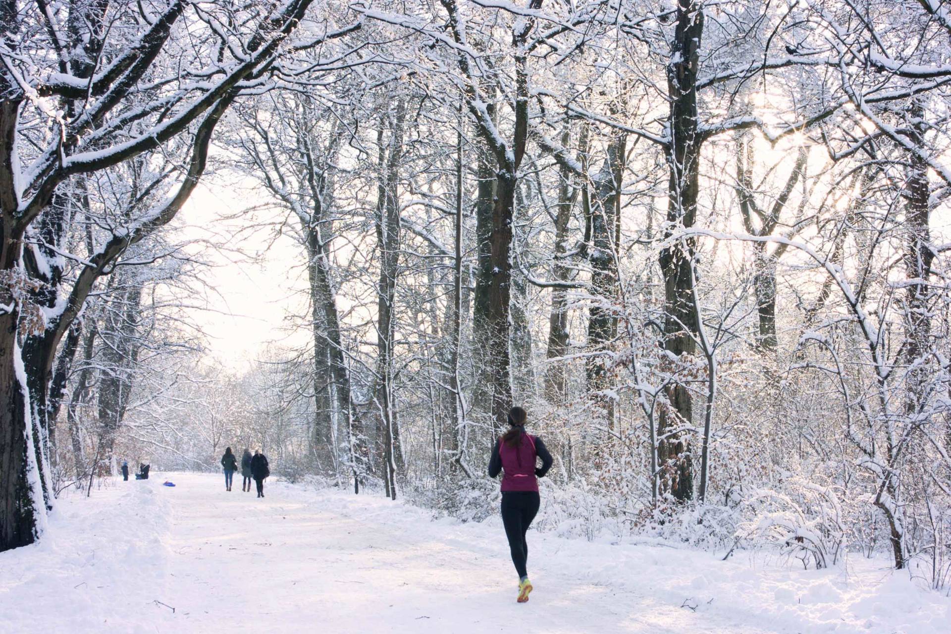 A Visit to Munich in winter: Guide for Cold Days