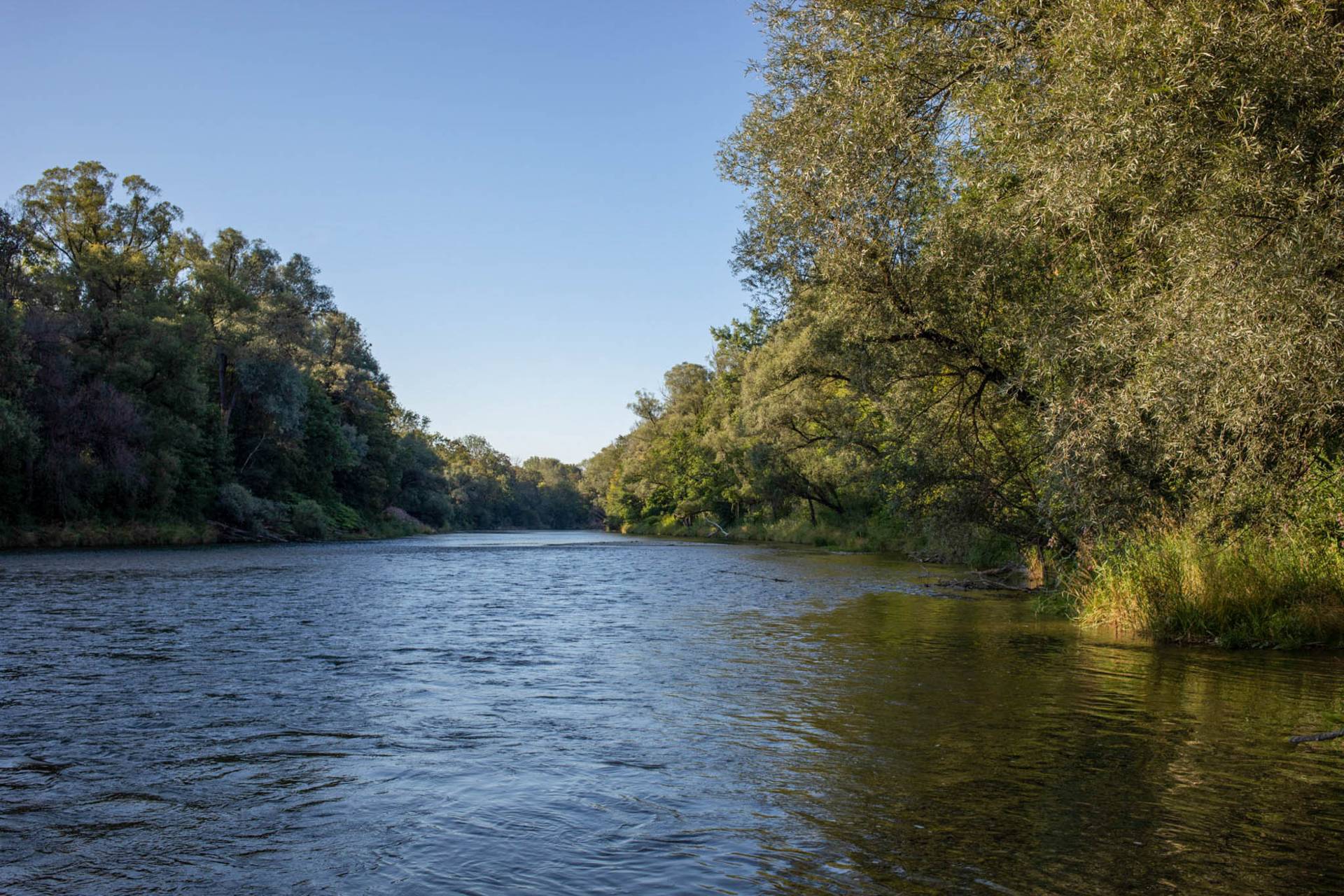 Isar: Secluded swimming spots | simply Munich